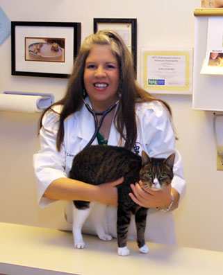 Nurturing Animal Wellness With Holistic Care - Holistic Vet Va